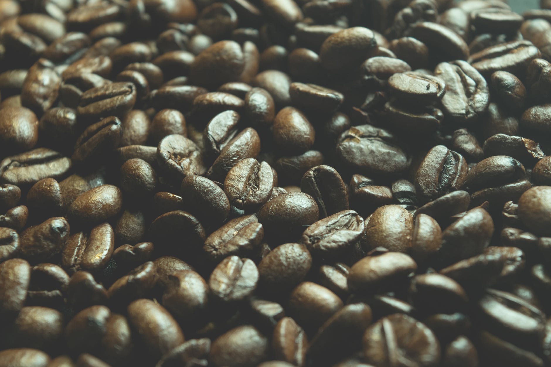 Coffee producer Strauss Group opened a new distribution centre in Kyiv ...